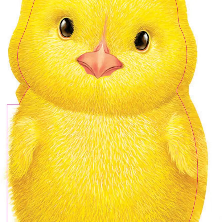 Furry Animal Baby Books – Busy Bee Boutique